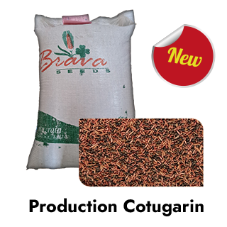 Mélange Vesce Triticale Avoine | Cotugrain Tunisie